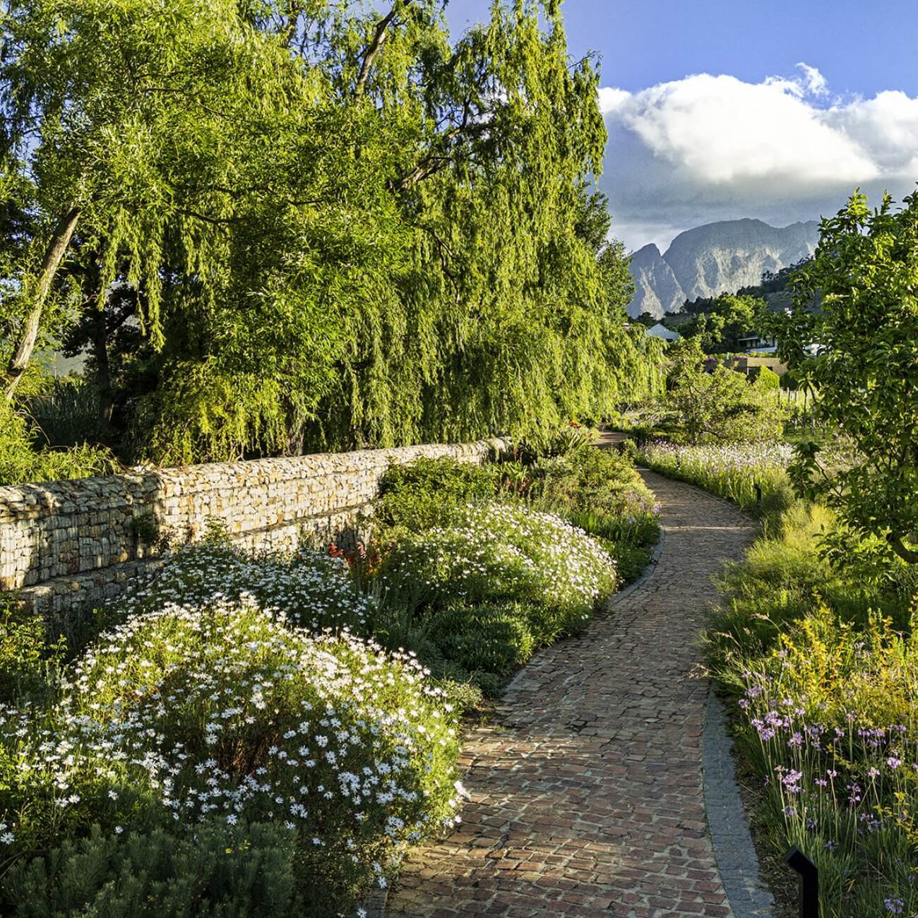 Leeu Collection | South Africa | Leeu Estate | Discover Leeu Collection ...